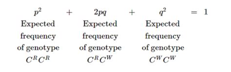 Biol 103 Week 2 Reading Notes Flashcards Quizlet