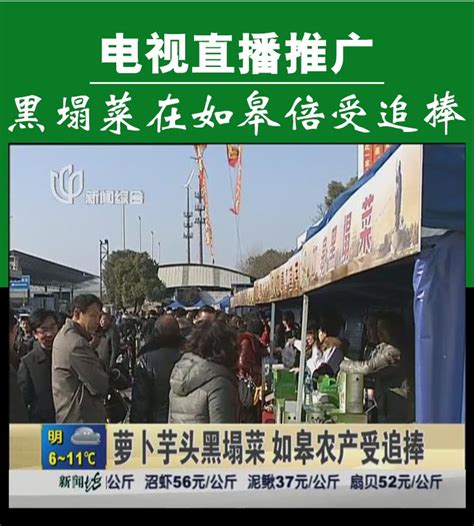 如皋黑塌菜国家地理标志农家露天速冻黑塔菜趴趴菜冻苏州黑青菜 虎窝淘