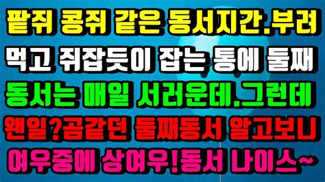 신청사연 곰같던 둘째동서알고보니너 보통내기 아니었구나ㅎㅎㅎ실화사연썰사이다썰 Youtube