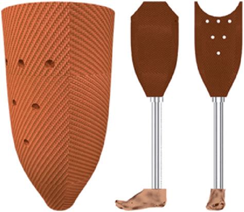 The 3d Development Of Proposed Prosthetic Socket Design Download Scientific Diagram