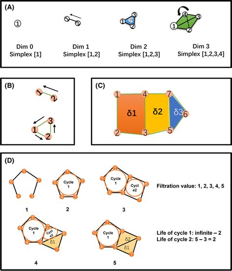 Schematic Images Illustrating The Key Concepts In Algebraic Topology Download Scientific