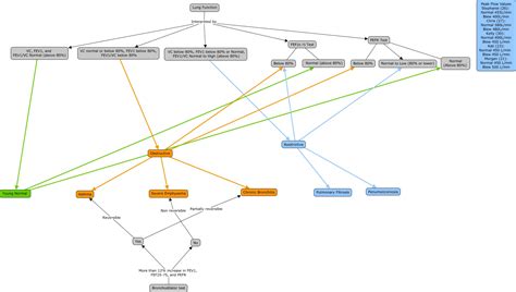 Lung Function Interpretation