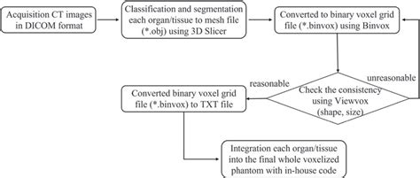 The Procedure Of A Voxelized Phantom Creation Download Scientific