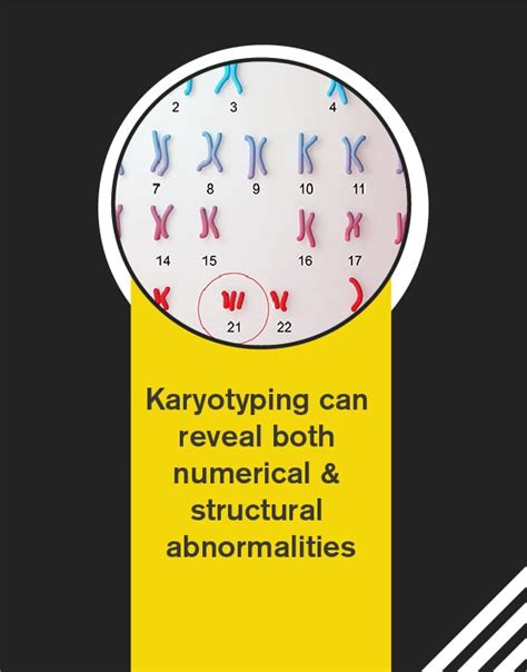 Center For Genetics And Molecular Medicine Credence Diagnostic Center