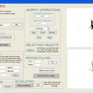 GUI For Morphological Analysis Of A Single Neuron Download Scientific Diagram