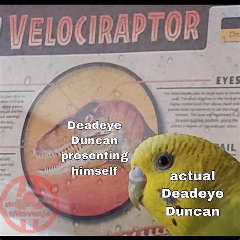 327 Best Deadeye Images On Pholder Guildwars2 World Of Warships And Reddeadredemption