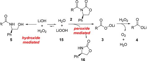 Lithium Hydroxide Reaction With An Ester