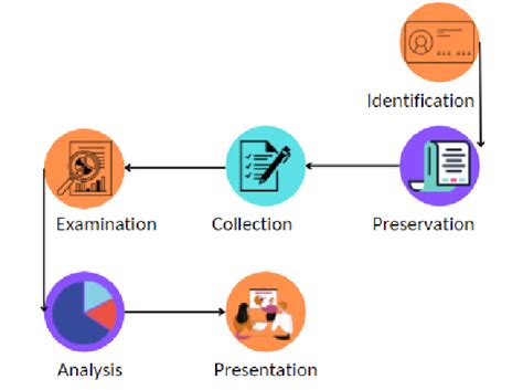 Stages Of The Dfrws Framework Download Scientific Diagram