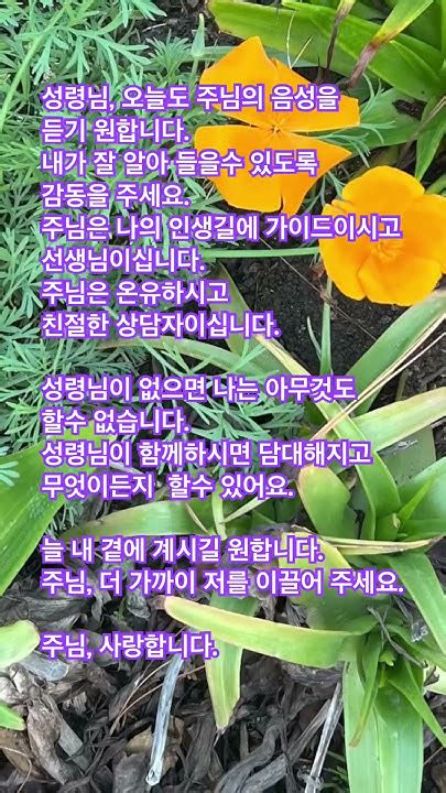 하루를 시작하는 기도성령아침기도믿음 Youtube