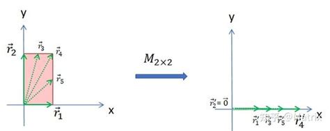 对向量点乘的理解 一 知乎