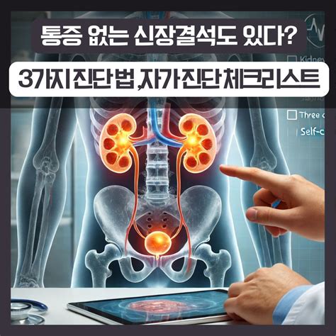 통증 없는 신장결석도 있다 3가지 확인 방법과 자가 체크리스트 내몸내손 자가치유노트