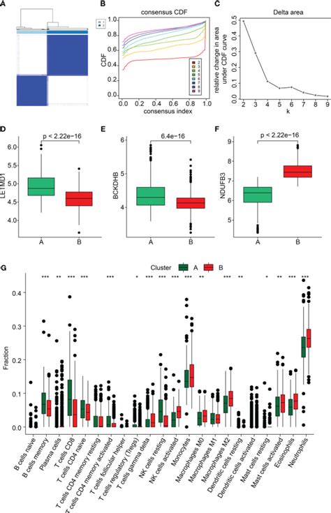 Identification And Experimental Validation Of Mitochondria Related Genes Biomarkers Associated