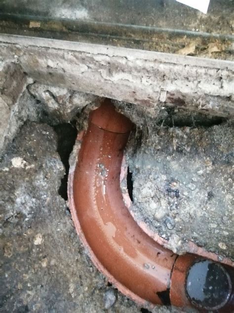D Mc Evoy On Linkedin Today I Had A Call From A Neighbour Who Has Been Having Mould And Dampness…