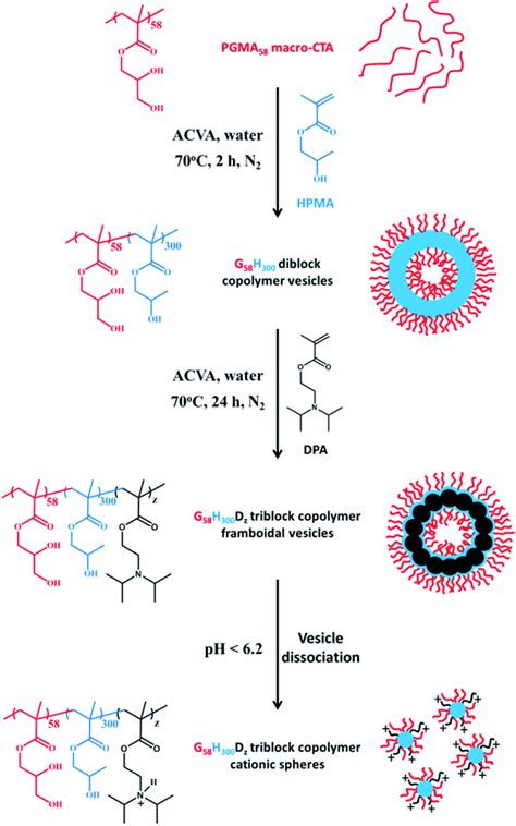 Synthetic Route To Framboidal Triblock Copolymer Vesicles Via Download Scientific Diagram
