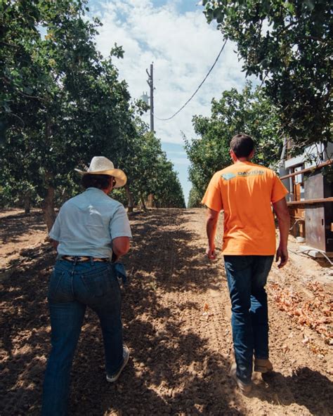 Our History Davids Engineering