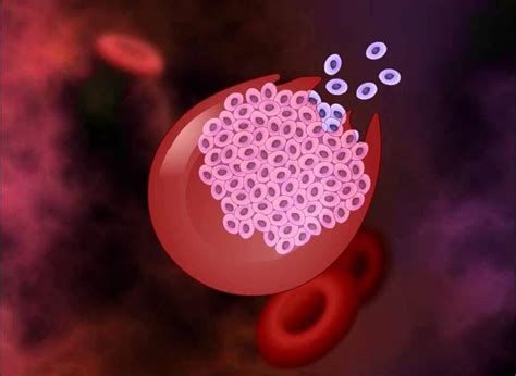 Multiple Fission In Plasmodium