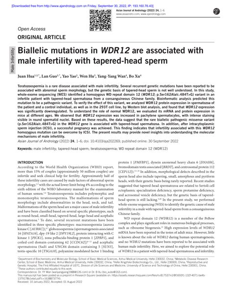 Pdf Biallelic Mutations In Wdr12 Are Associated With Male Infertility