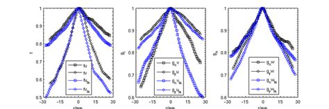 Velocity Correlation Functions F The Longitudinal Correlation