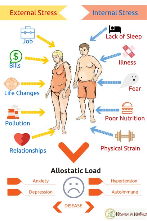 what is allostatic load and why does it matter for our health artofit