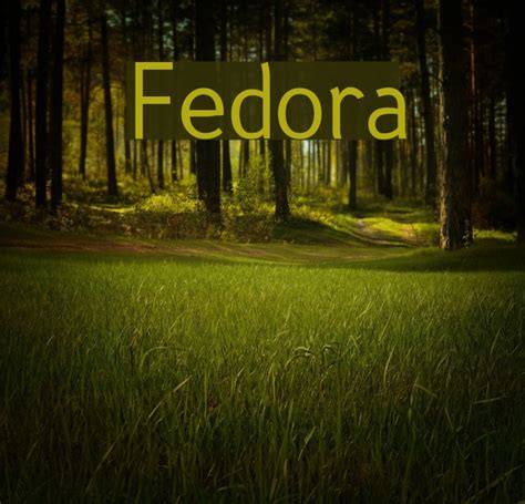 fedora font