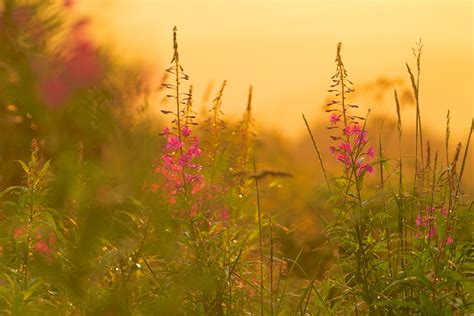 Sommer in der Wettergalerie