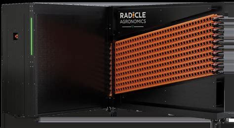 Radicle