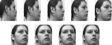 Figure 1 From Why To Combine Reconstructive And Discriminative