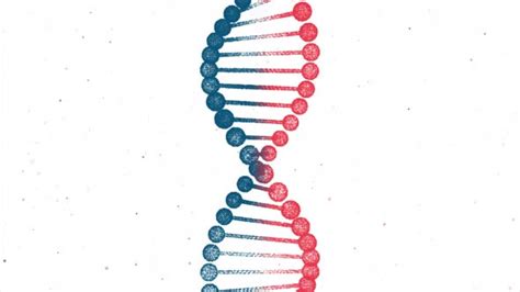 bicolor dna chain loop motion graphics videohive