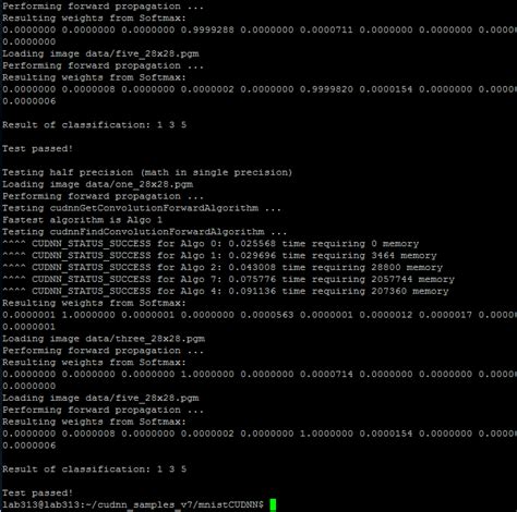 显存充足，但是却出现cuda Errorout Of Memory错误 Csdn博客