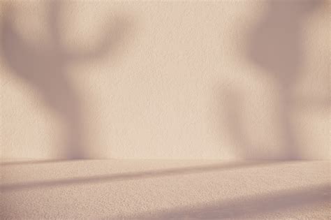 벽에 가지와 그림자가있는 추상적 인 기하학적 구성 자연석 계단 받침대 트렌디 한 미니멀리스트 배너 3d 렌더링 일러스트레이션