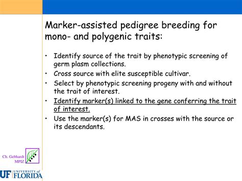 Ppt Molecular Marker Assisted Breeding And Genetic Engineering