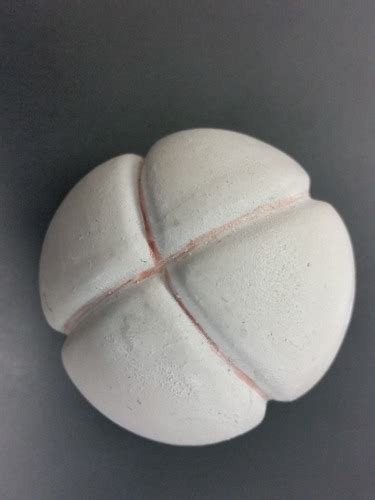 Embryonic Development Flashcards Quizlet