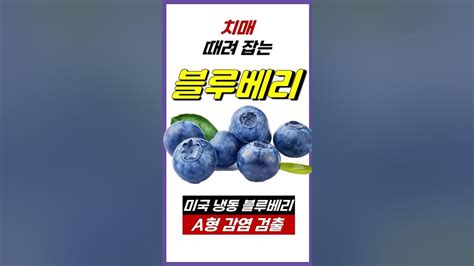 치매 당뇨병 합병증 신체기능 강화에 가장 좋은 슈퍼푸드 블루베리 효능과 먹는 방법 Youtube