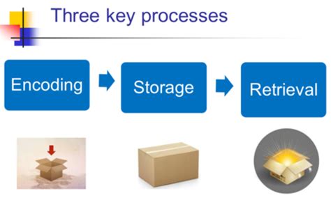 Memory Encoding Storage Retrieval