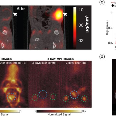 Selected Mpi Cell Tracking Applications A Stem Cell Implant Imaging Download Scientific