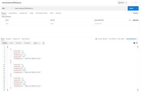 ip safelisting in asp 6 core applications using postgresql