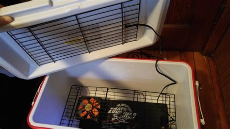 What Is The Best Ball Python Egg Incubator For The Best Price