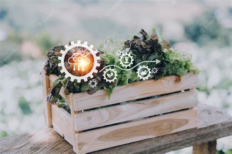 미래의 사업가는 휴대폰 온도 및 습도 센서를 사용하여 현대 Ai 기술을 사용하여 채소와 작물을 재배합니다 물 추적 기후 제어 홀로그램 데이터 데이터 아이콘 프리미엄 사진