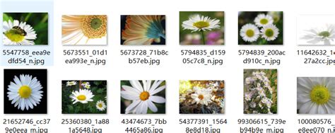 keras复现vgg16及实现花卉分类 keras 复现vgg16 csdn博客