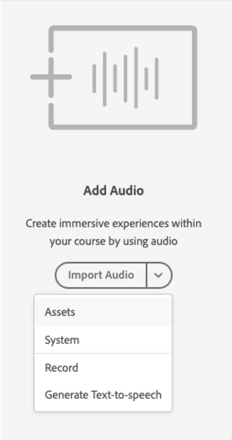 Add And Edit Audio In Adobe Captivate