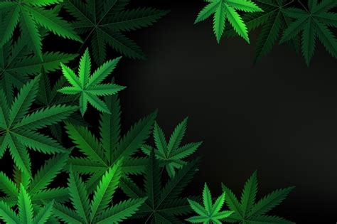 Fondo De Pantalla De Hoja De Cannabis Realista Vector Premium