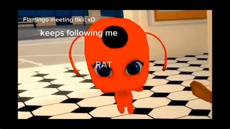 Miraculous Ladybug Vs Flamingo Meeting Tikii Youtube