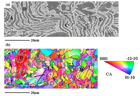 Deformation Behavior And Microstructure Evolution Of Titanium Alloys With Lamellar
