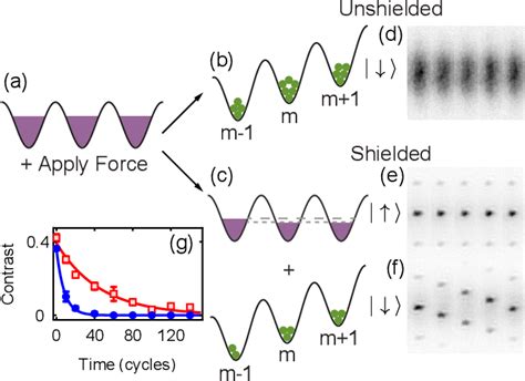 Figure 1 From Coherence Times Of Bose Einstein Condensates Beyond The Shot Noise Limit Via