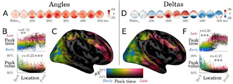 Visual Representations Propagate From Sensory To Associative Cortices Download Scientific