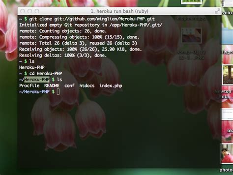 Specifying Webroot From Apache D File In Heroku Cloud