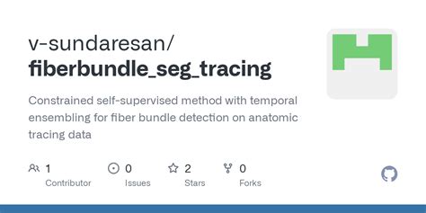 Github V Sundaresanfiberbundlesegtracing Constrained Self