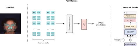 Figure From Facial Action Unit Detection Using D Face Landmarks For Pain Detection Semantic