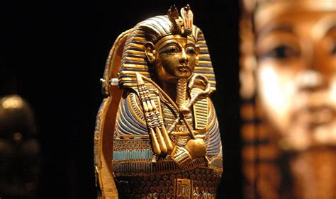 Archaeologists Incredibly Rare Discovery Inside Tutankhamuns Tomb Science News Express